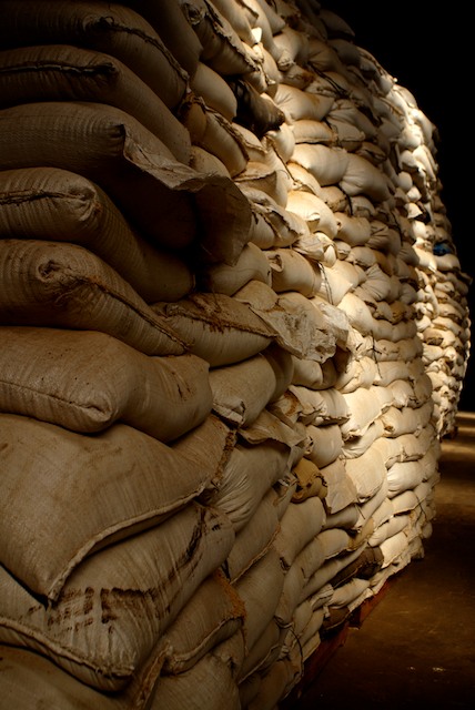 Village Chicken: Coffee: from field to cup