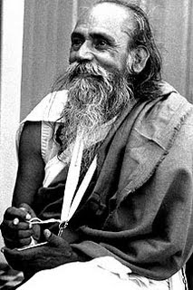 Blue Sky Green Earth: Persistence