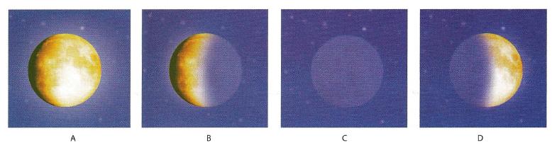 FQ: Exercícios de preparação para a ficha de avaliação - 7º ano