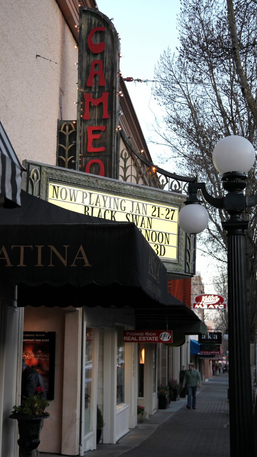 Napa Valley 365: Dinner and a Movie in St. Helena: Cameo Cinema and Go Fish