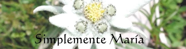 Simplemente María