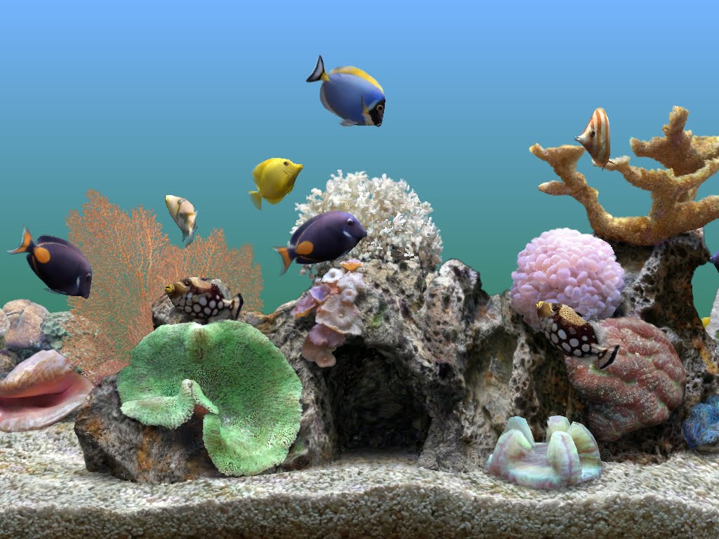 Protectores de pantalla gratis para pc - Imagui