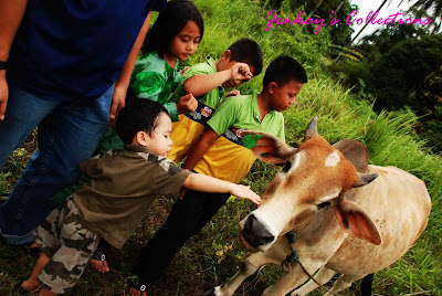 my thoughts, stories and articles: Year of the Ox, children