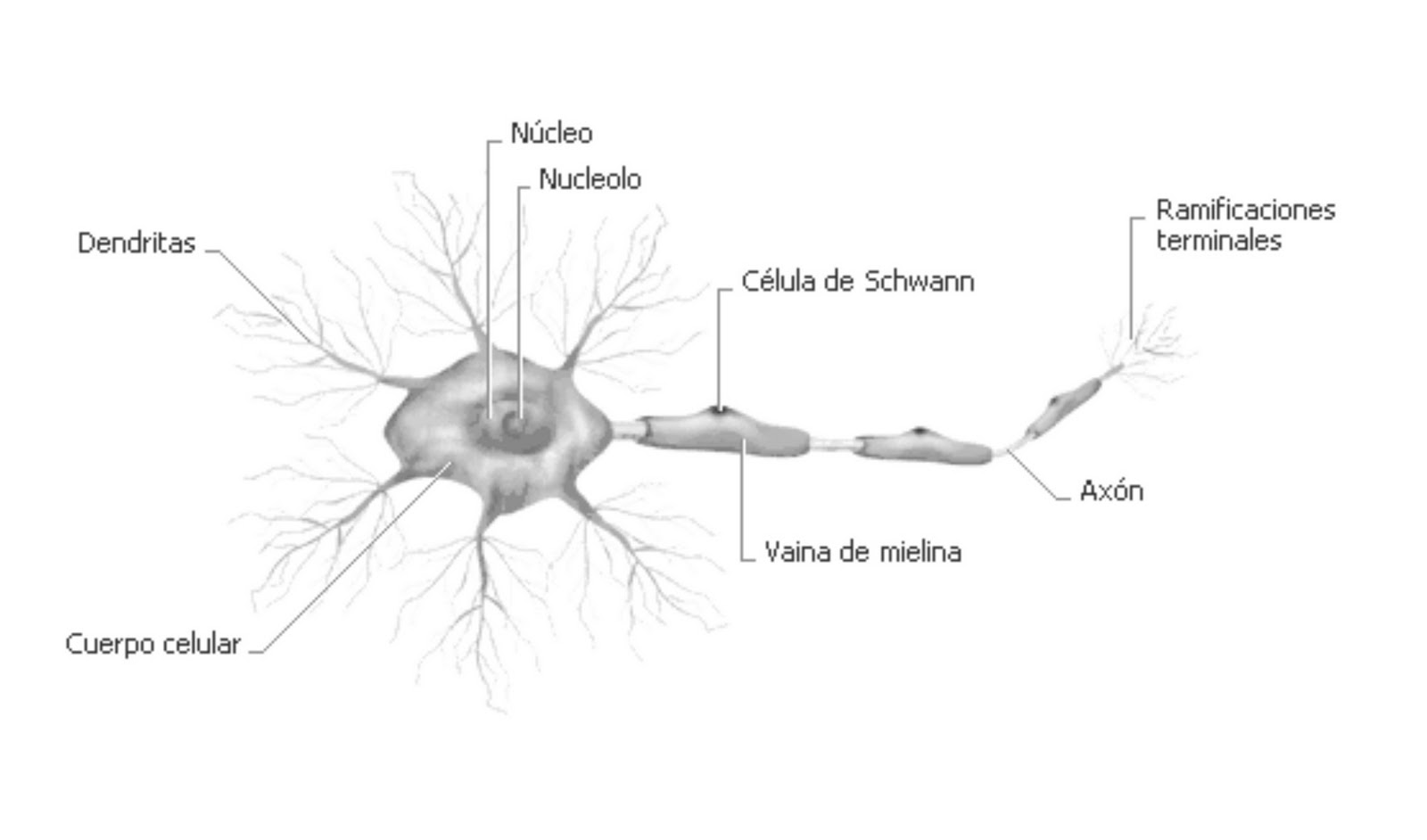 TEORIA DE LA IDIOLOGIA-Max Kahl: CAPÍTULO 1