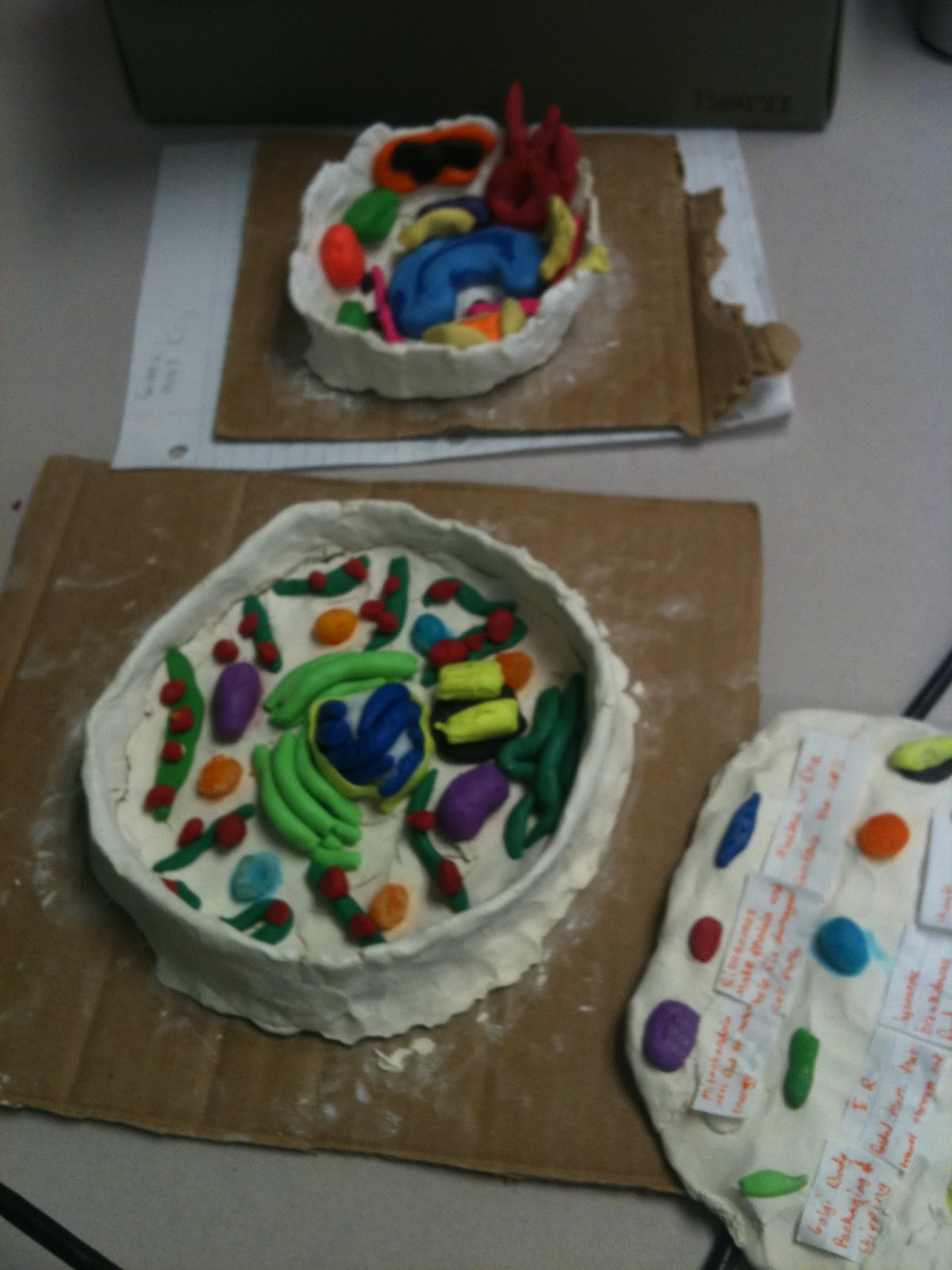 We Love Biology!: Cell Models!