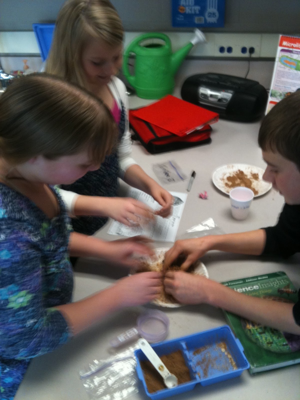 We Love Biology!: Studying the Digestive System