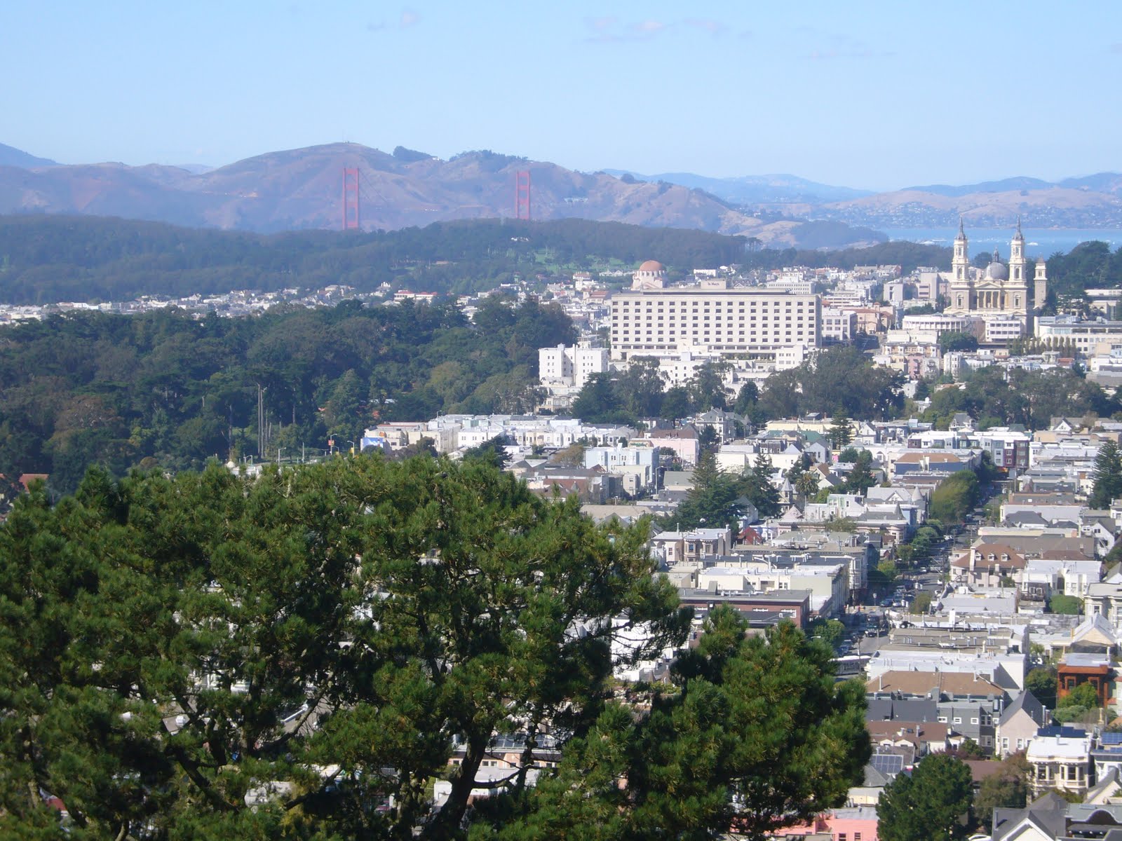 Walking San Francisco: Ashbury Heights and Tank Hill