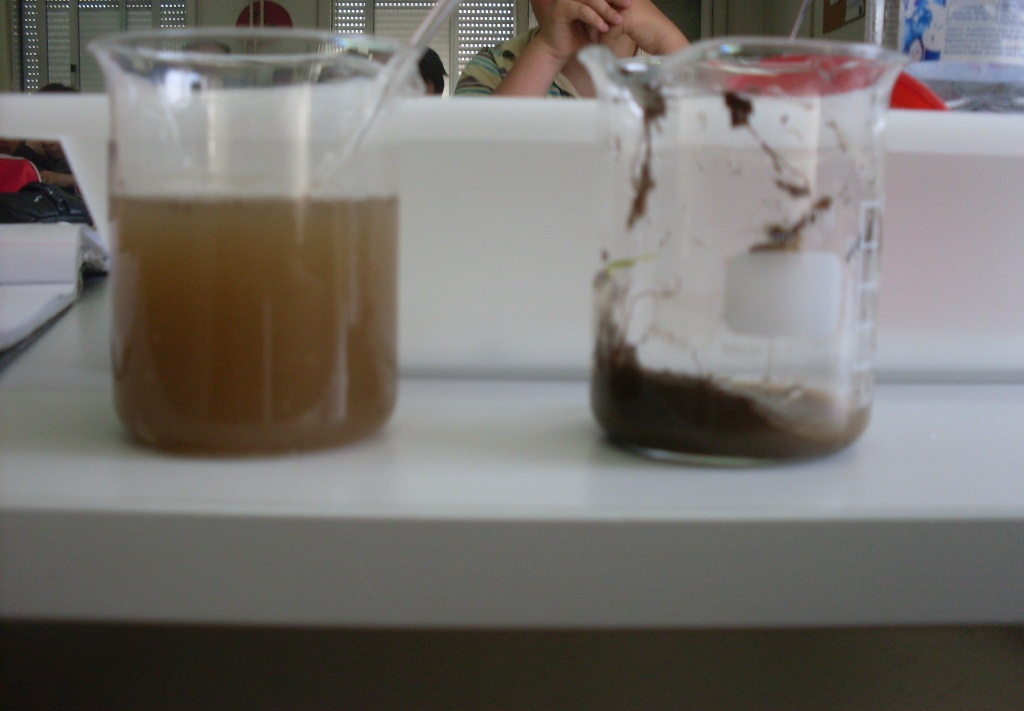 Actividades Experimentais: Processos que permitem a separação de ...