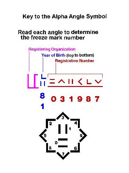 Walk of the Wild Horse: Freezemarks