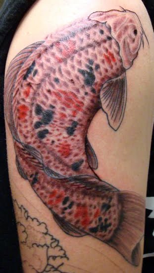 Tattoo Japan: Koi Fish Tattoo Design With Natural Colors