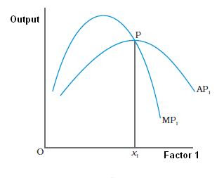 Economics: Theory of Production