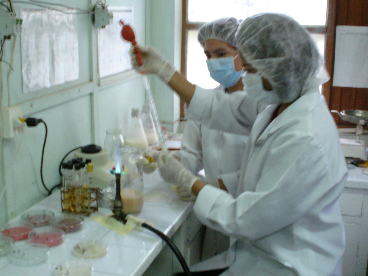 A SU SALUD: FELIZ DIA A TODOS LOS BIOQUIMICOS