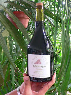 catemaco.info de dongringo: Catemaco Borrachera