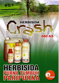 AGROCHEMICAL SHOP BLOG: Crash 480 AS