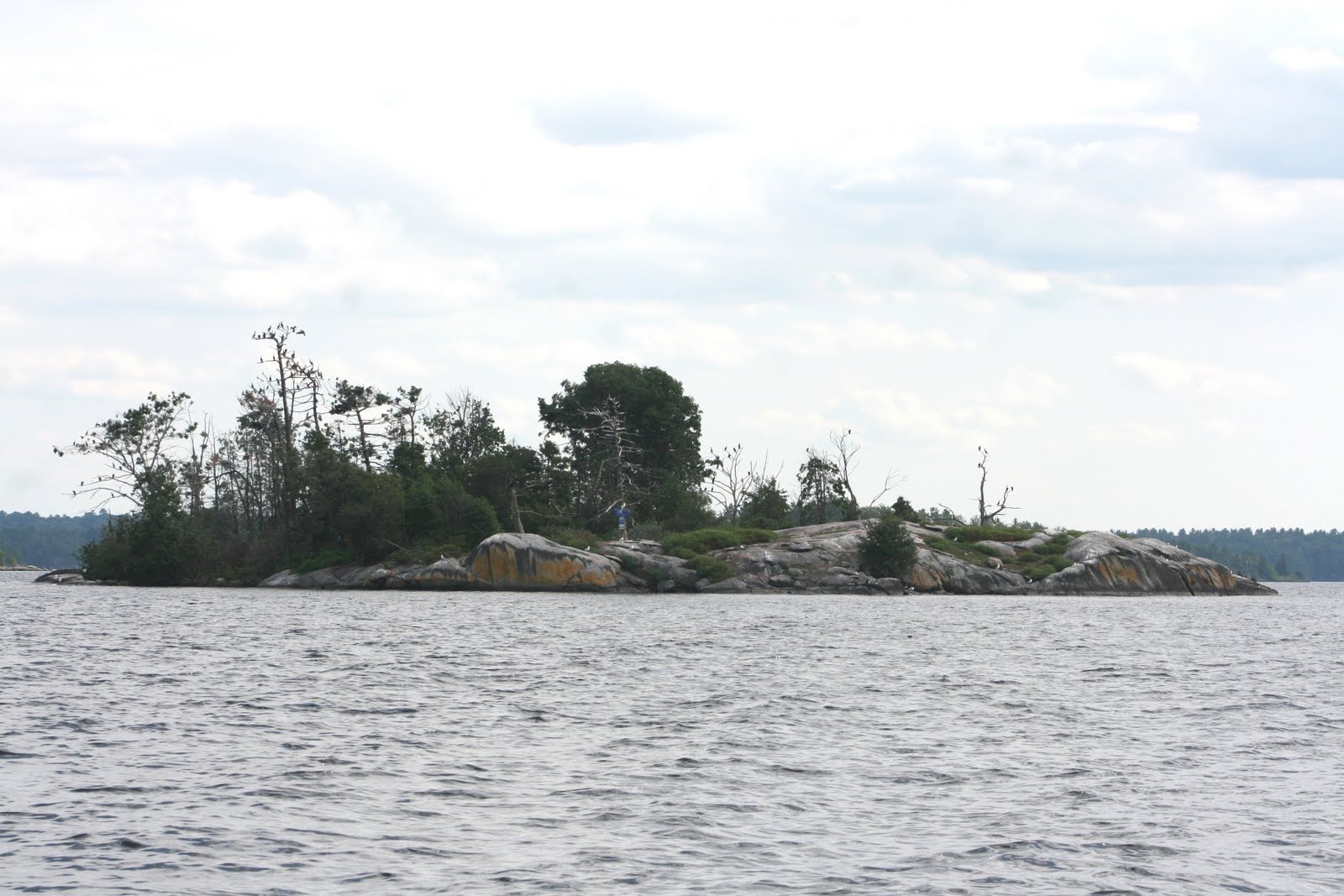 'Burg Birder: Browning Island and Lake Muskoka