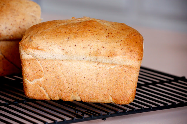 high altitude bread recipe