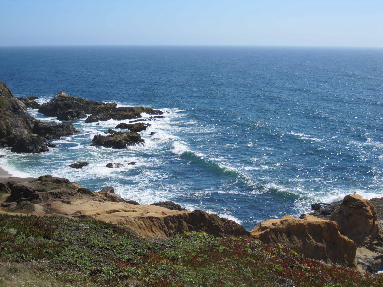 BodegaBayLife: Gorgeous Day at Bodega Head!