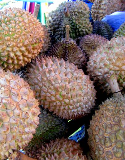 Eye in the Sky: Padada Blooms and its Mouth Watering Gastronomy