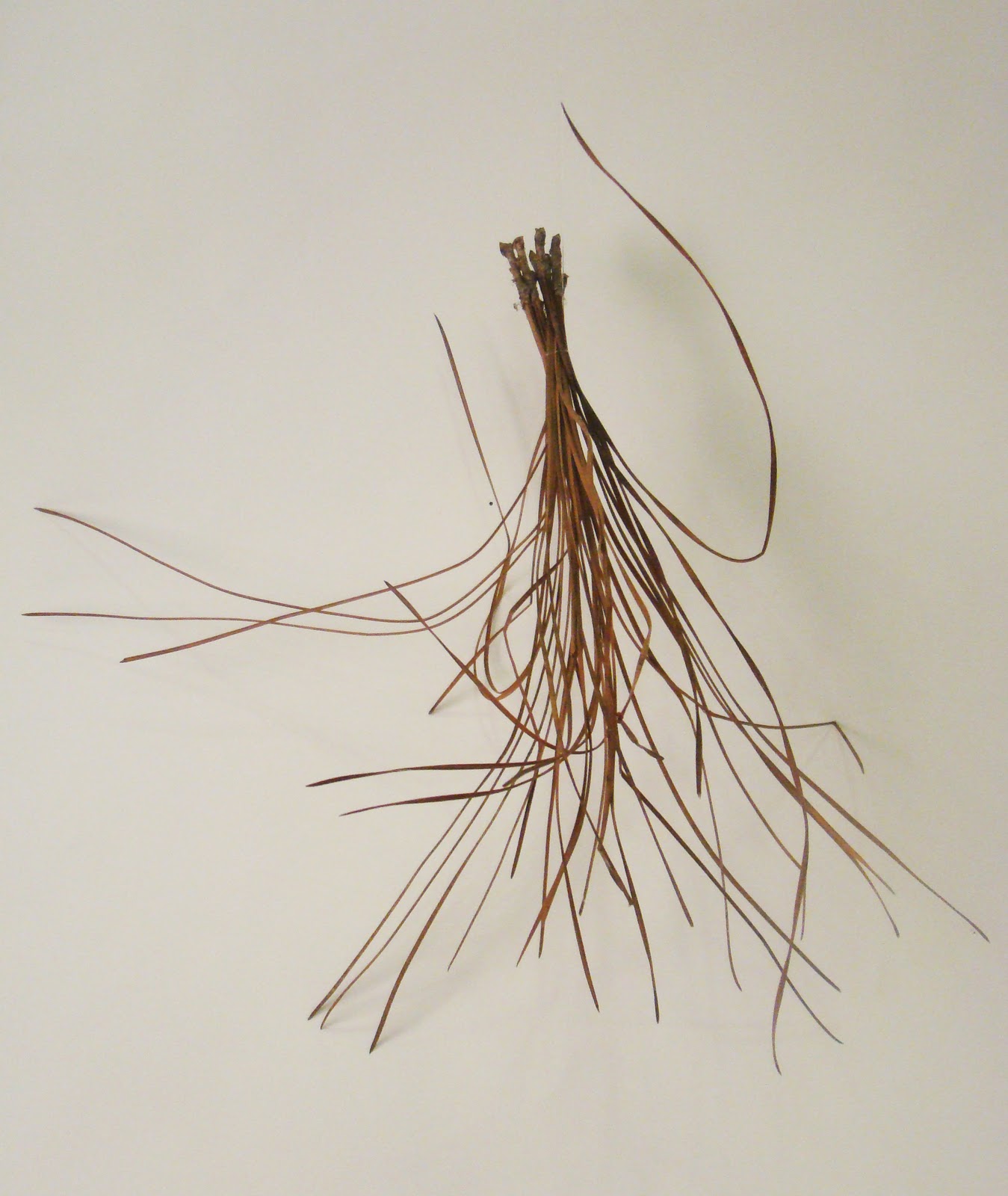 A.Bennett Design: 12 Twigs project- Studio 101