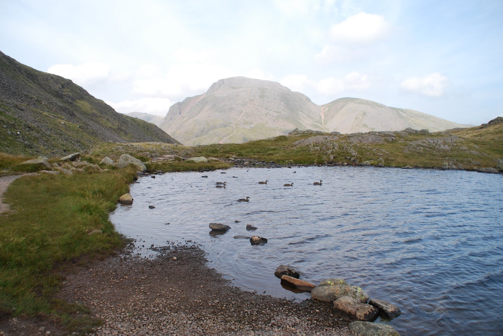 The Dog's Outdoor Blog: September 2010