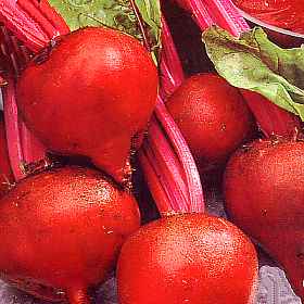 LA BETERRAGA: LA RICA BETERRAGA