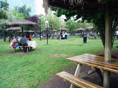 Parque Araucano: Zona Picnic