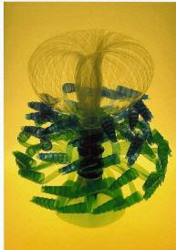 ideas por aquí... ideas por allá...: Reciclando PET