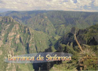 chihuahuaareg: BARRANCA DE SINFOROSA