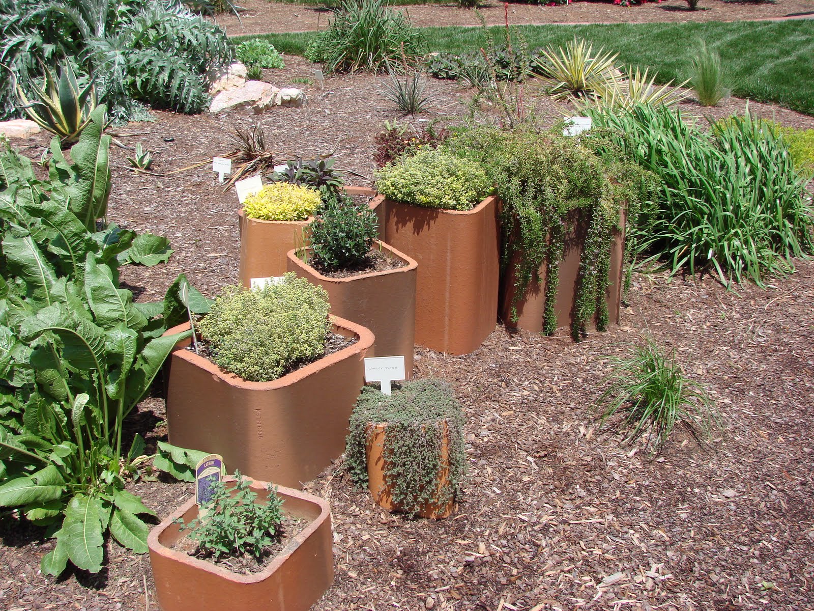 Simple Herbal: A Cabbage Poultice for Arthritis Joint Pain