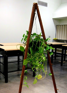 Ocean County Drawing: Two Dimensional Props and Examples