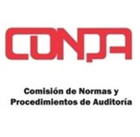 CTS CONSULTORES: APROBACIÓN DEL “MARCO DE REFERENCIA PARA TRABAJOS DE ...