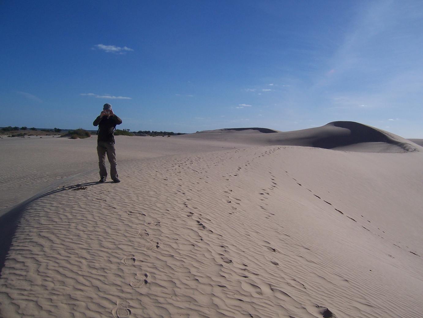 Travel Experience: Grasshopper Paste