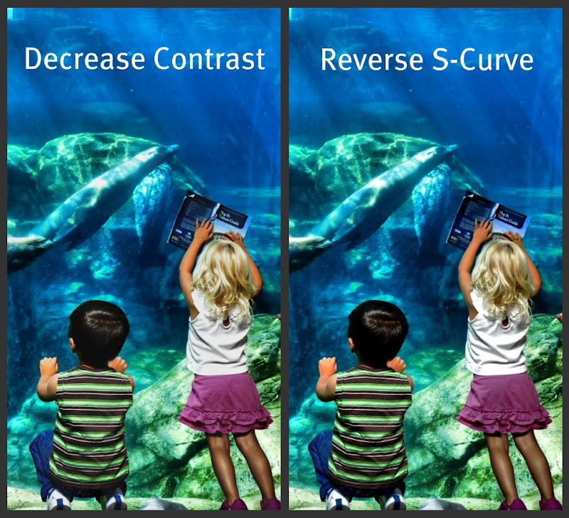 Better Family Photos: Rescuing an Overexposed Image and Decreasing ...