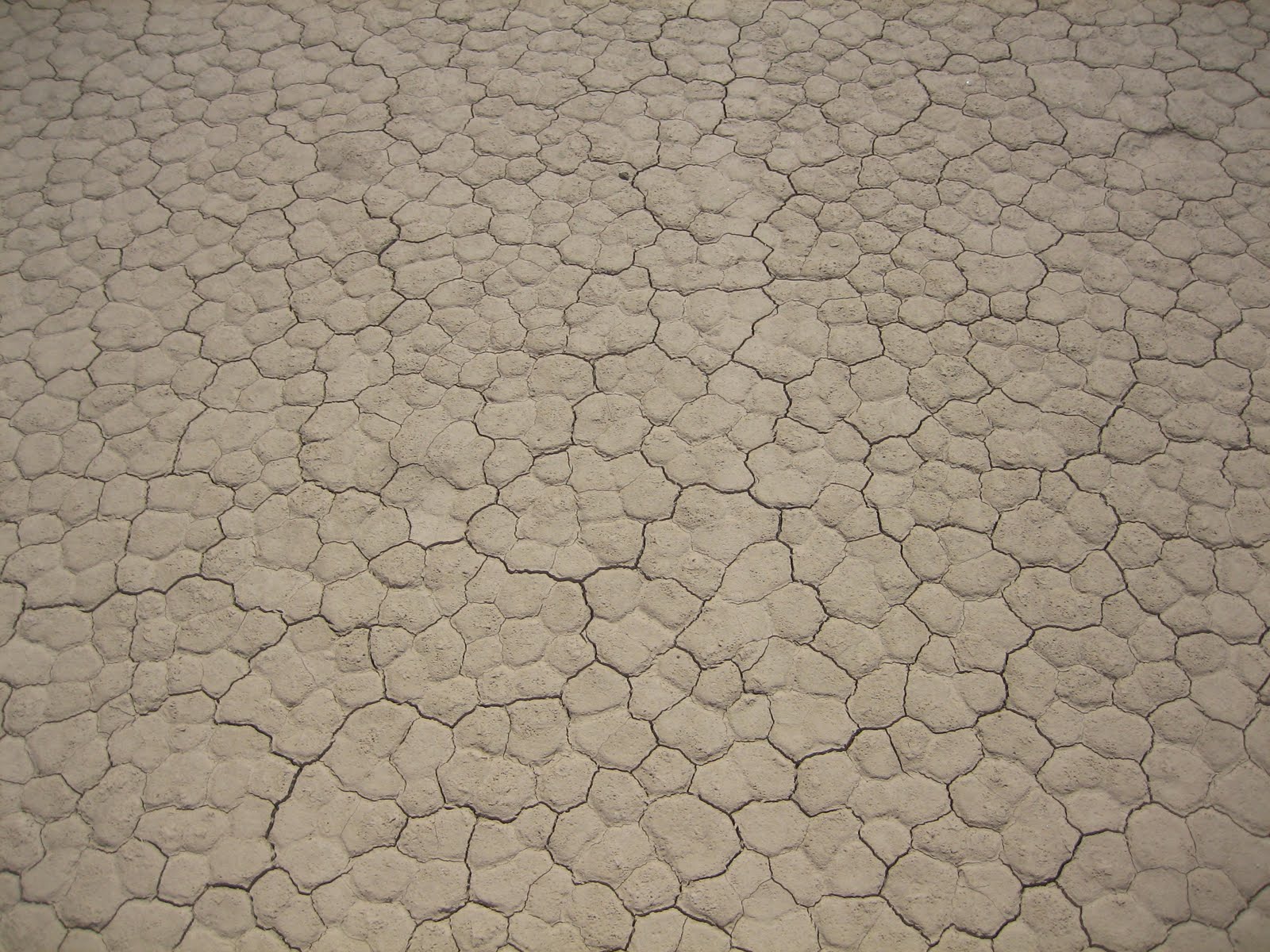 Mojave Brad: Desert Textures