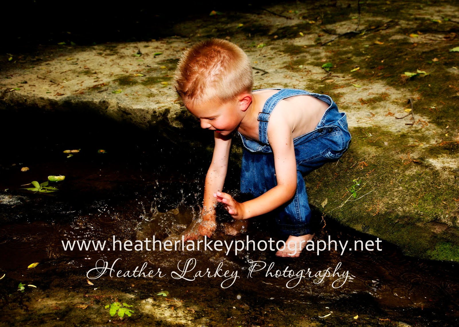 heather larkey photography: The Bargo kids...Creek session