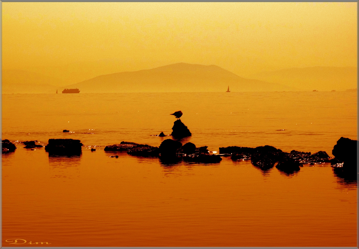 DreamWorks: Acapulco Sun