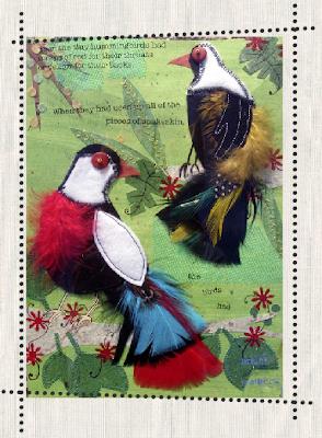 beringela: maio 2008