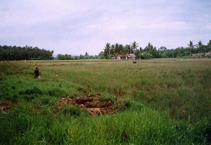 Archaeological*Highlights: Identifying pottery clay from rice fields ...