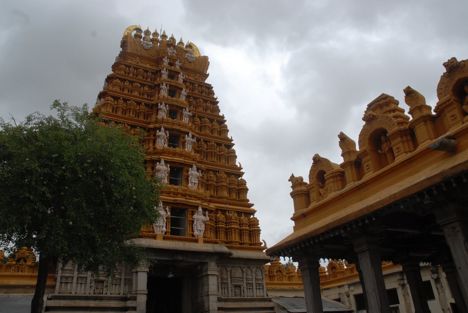 VISWANATH S: Nanjangud-KGudi-Bandipur