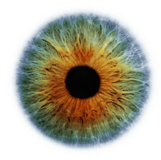 Morning MakeUp Call: WHAT IS YOUR EYE COLOR? LOOK CLOSER!