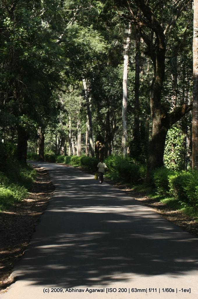 Abhinav Agarwal: Yercaud - In and Around