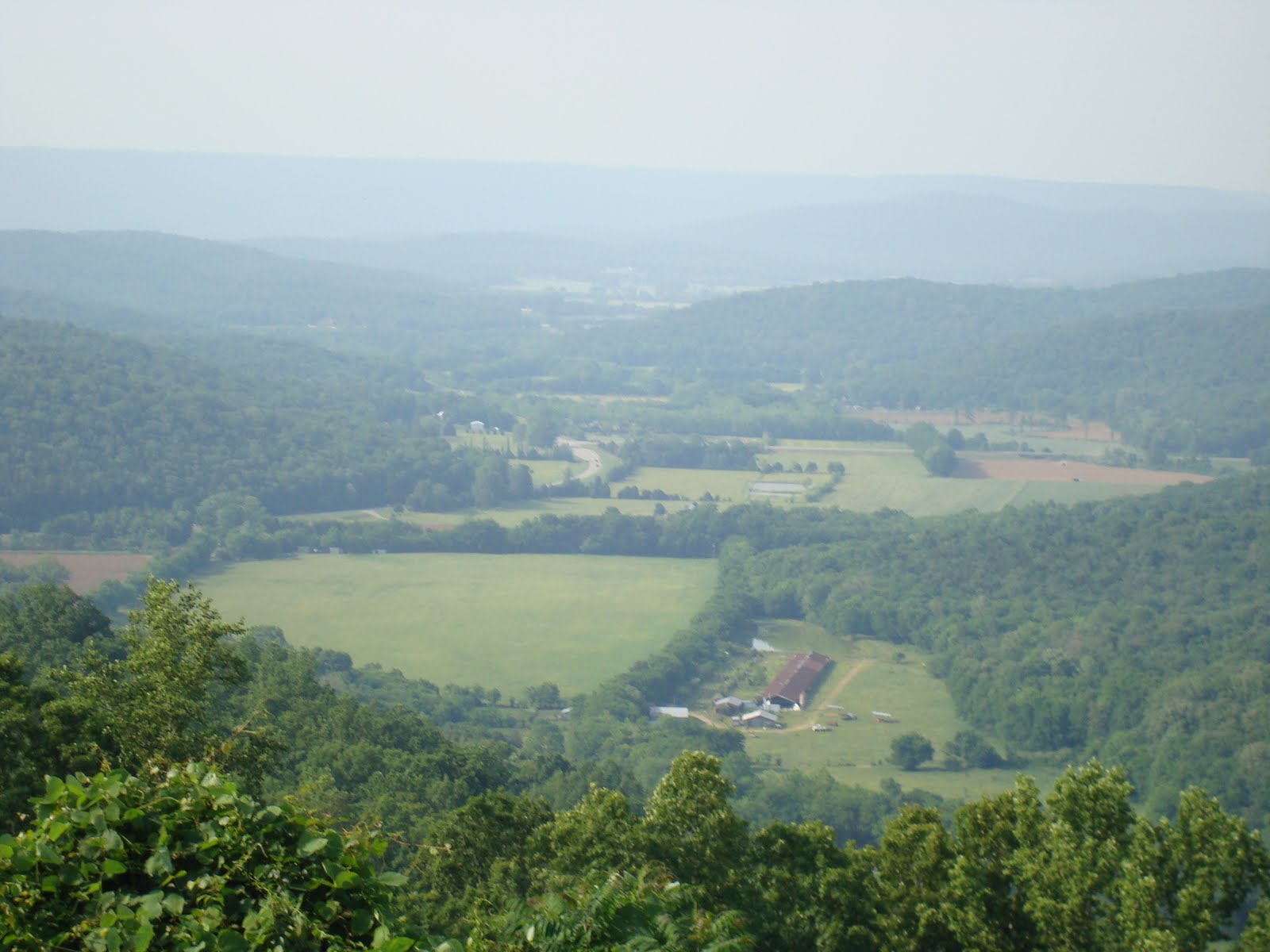 The noMadsons Follow That Dream Tour: Killing Time in Northern Alabama