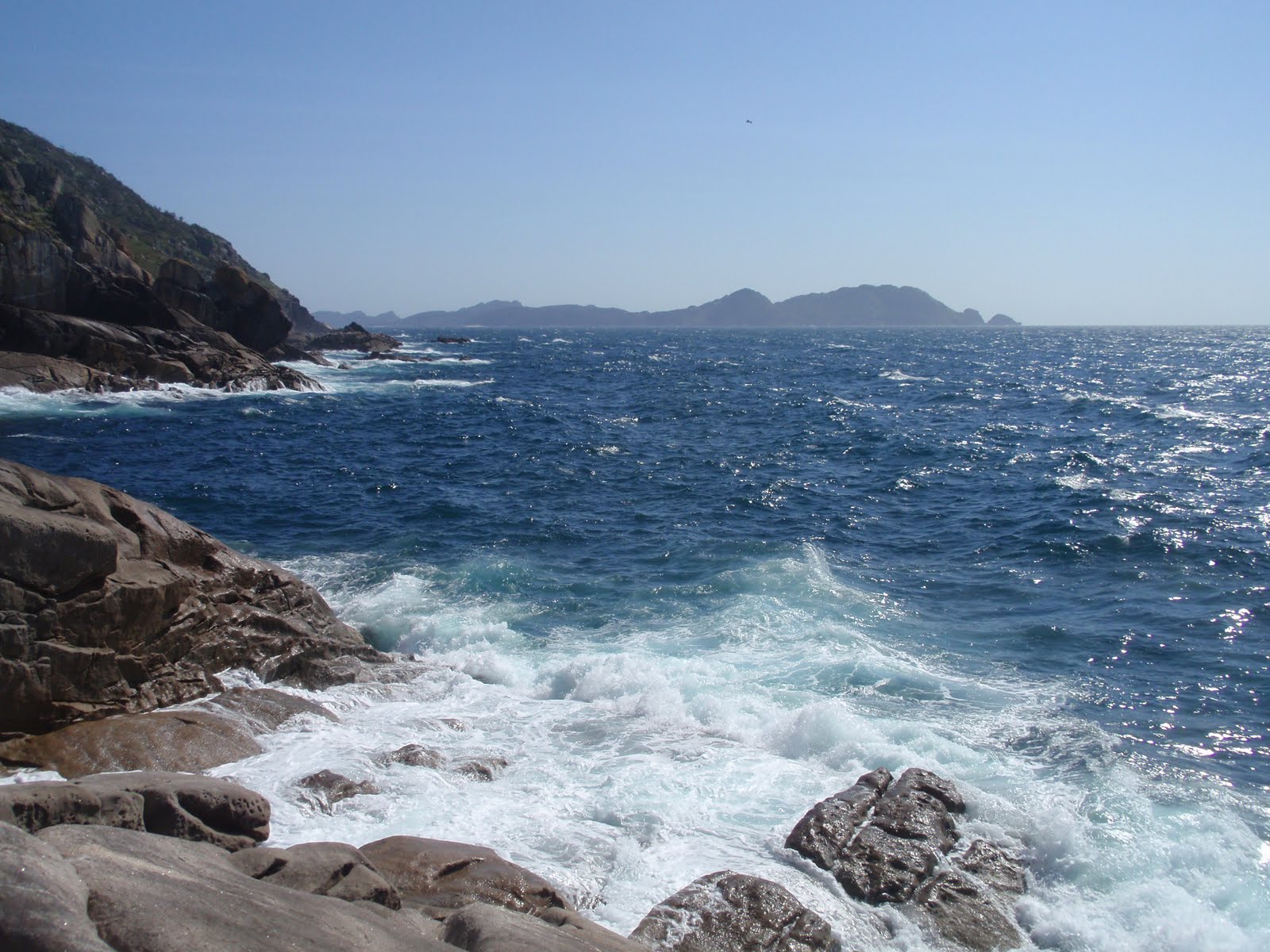 nosolomosca: Sargos en el pedrero