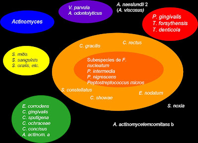 Microbiano: septiembre 2009