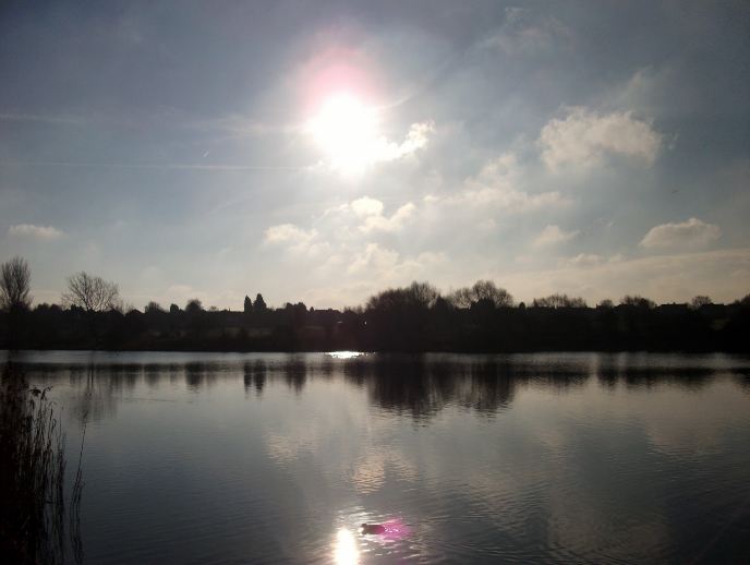 Vinnyman's Birding and Nature Blog.: River Cole/Shard End Lake ...