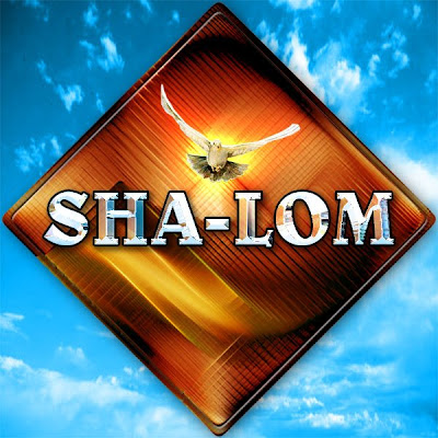 Logo: shalom logo - sample