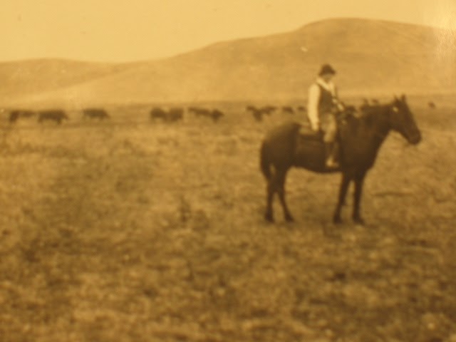 Carbon Canyon Chronicle: The Tonner Canyon and Carbon Canyon Connection ...