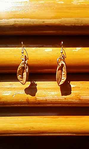 Yasaí Biojóias: Brincos de Qualea Parviflora