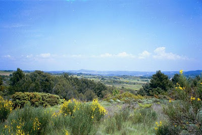 SCORPIONS DES ARDOISES: Le climat méditerranéen : la garrigue