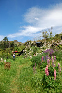blurpenguin: Tree Crop Farm, Akaroa NZ